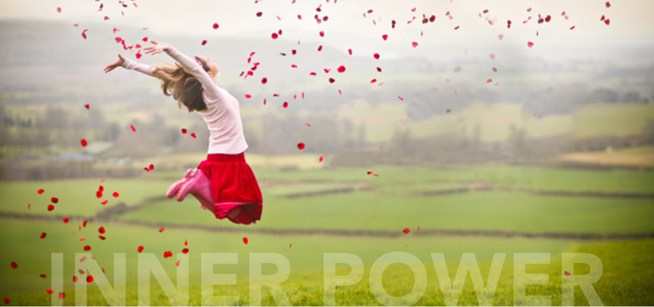 adf | miami, FL 33186